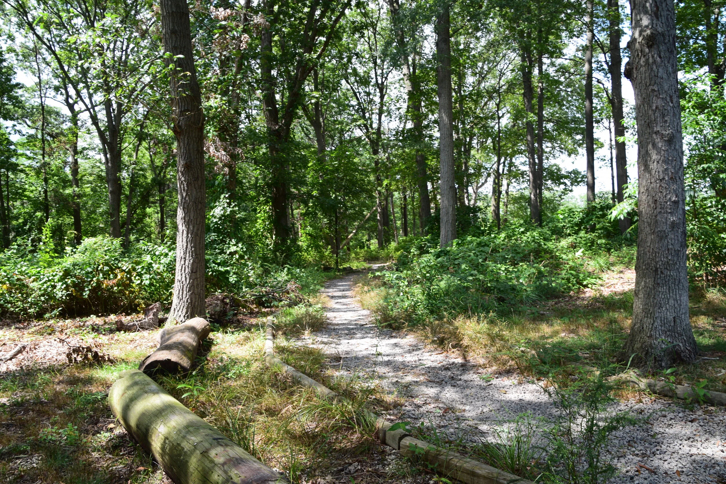 River Farm Forest School