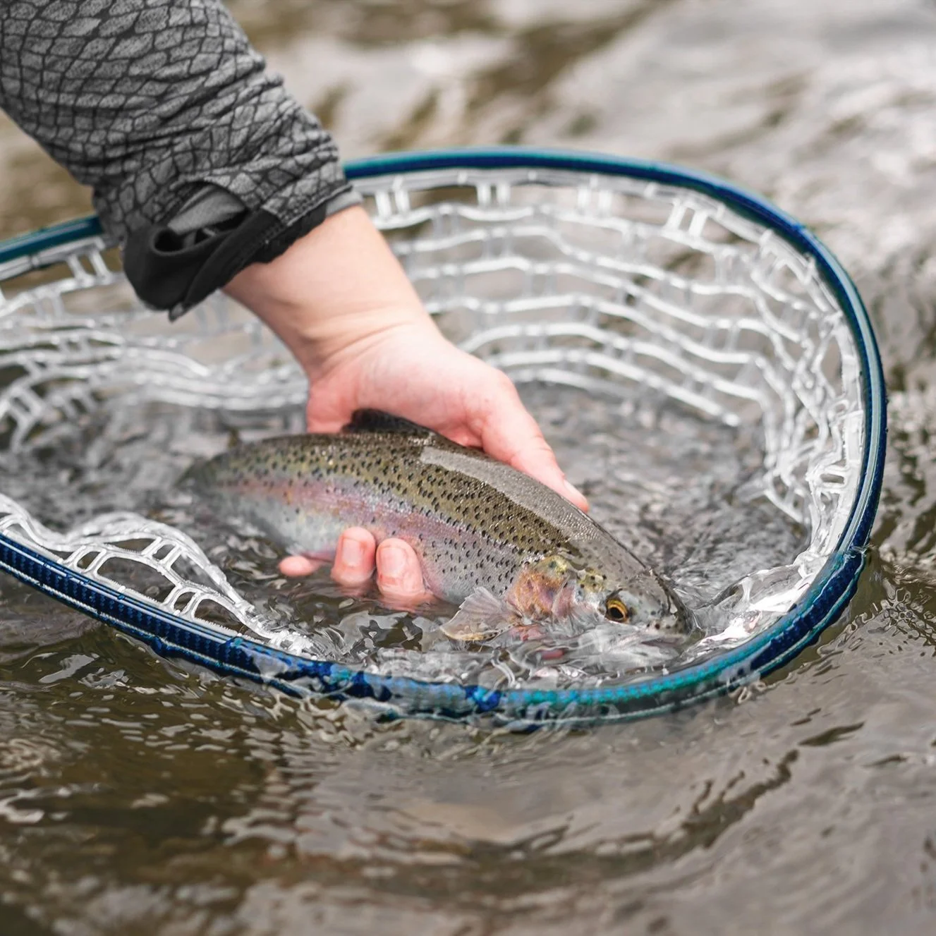 NETS — WETFLY