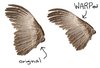 The Do's and Don'ts Of Adding Wings — Robert Cornelius