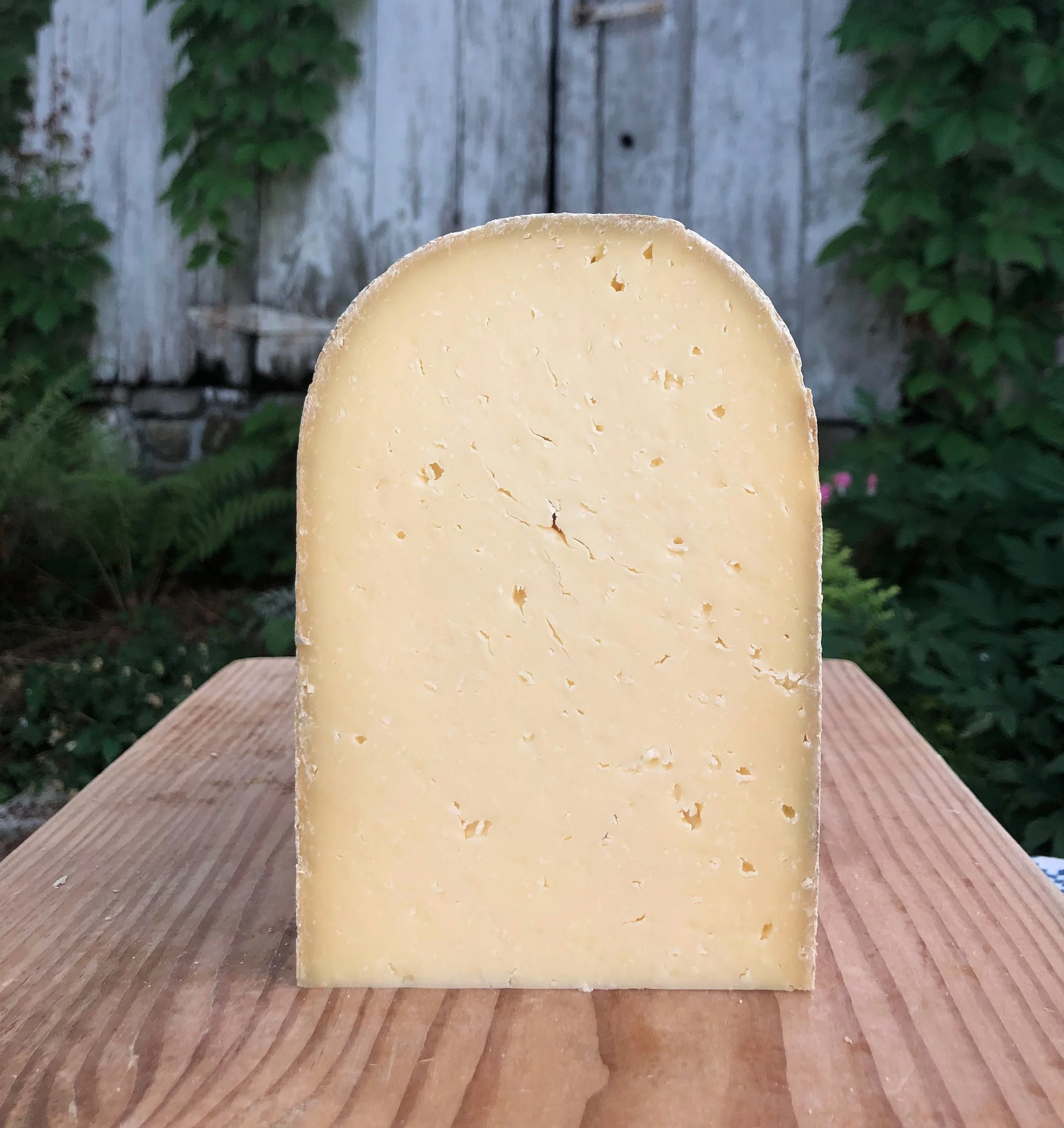Our Cheeses — Valley Milkhouse