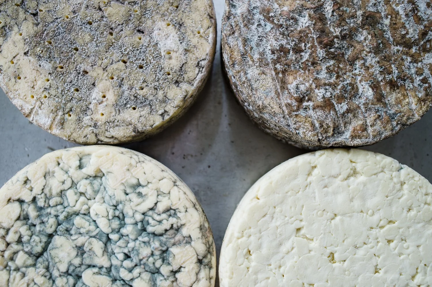 Our Cheeses — Valley Milkhouse