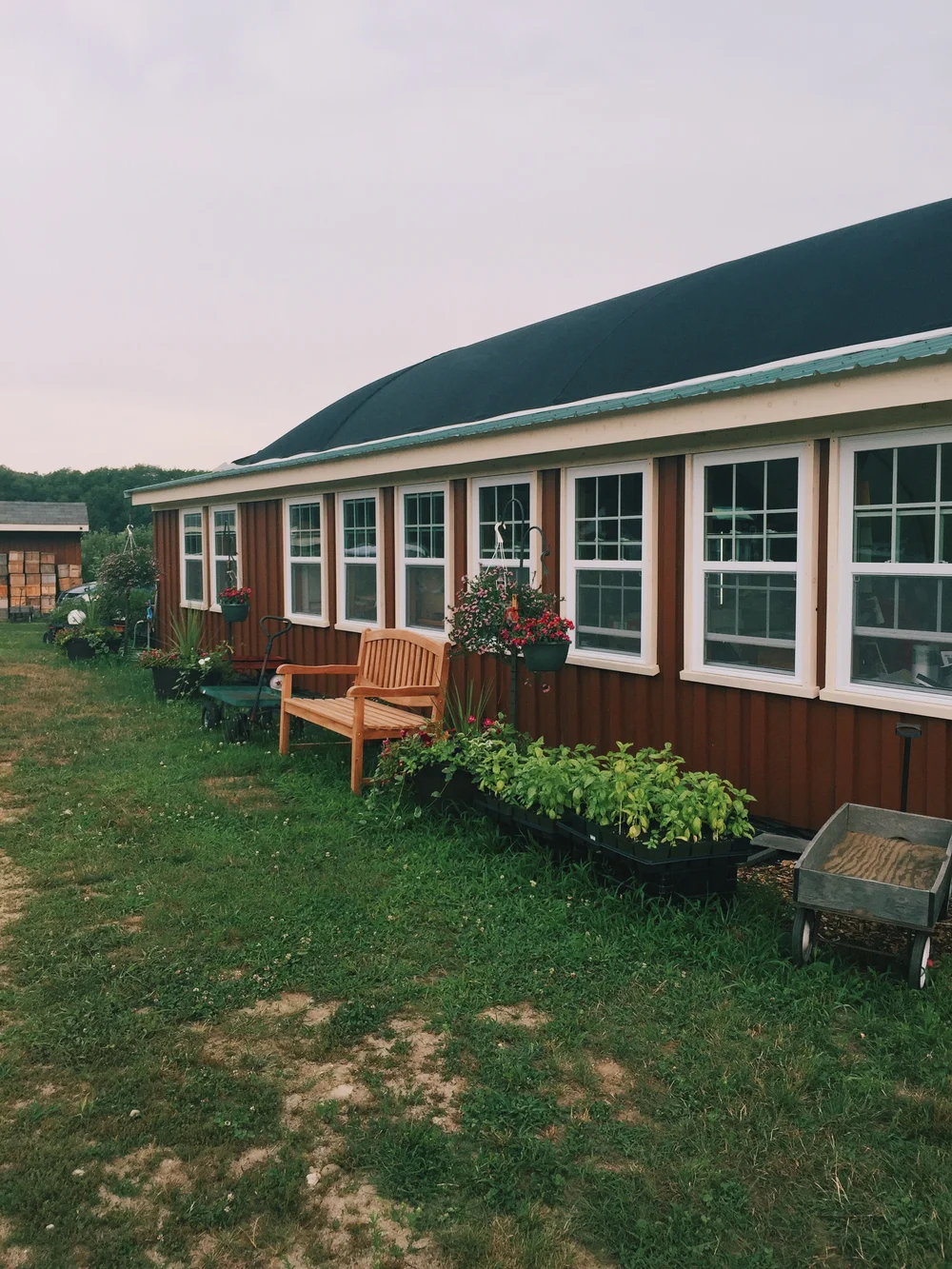 Snaps & Sunflowers: Dame Farm And Orchard — PattyJ.com