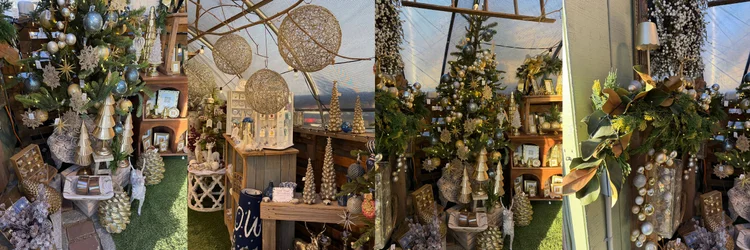 The East Greenwich Garden Center That's All Decorated For Christmas ...