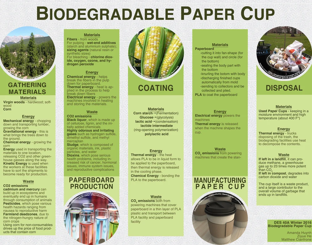 Biodegradable Paper Cup — Design Life-Cycle