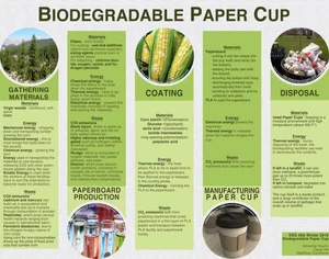 Biodegradable Paper Cup — Design Life-Cycle