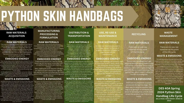 Python Skin Handbags — Design Life-Cycle