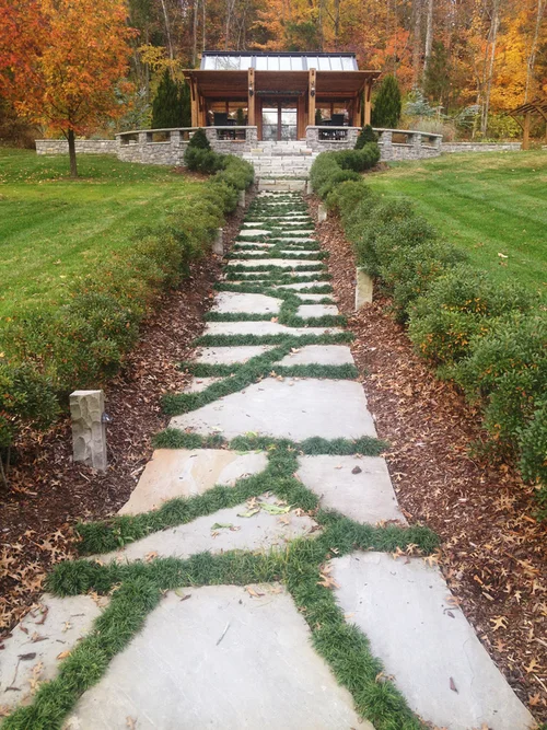 Dwarf Mondo Grass Flagstone