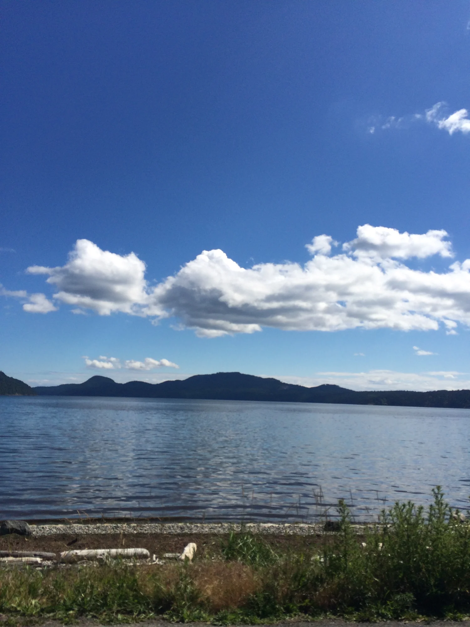 Orcas Island Getaway @ Bracken Fern | Vacation Rental — Orcas Island ...
