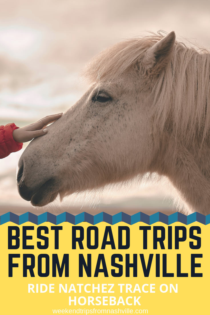 Voted Nashville’s best day trip — Those Crazy Nelsons