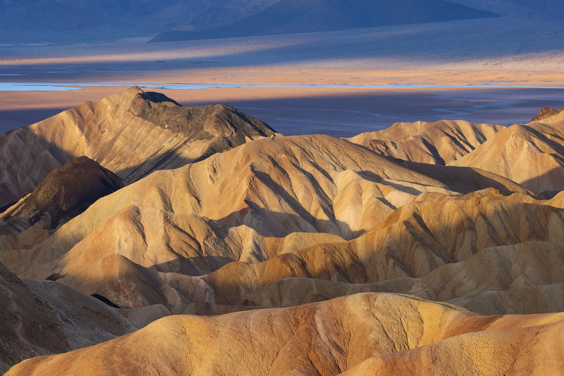 Sarah Marino & Ron Coscorrosa Photography