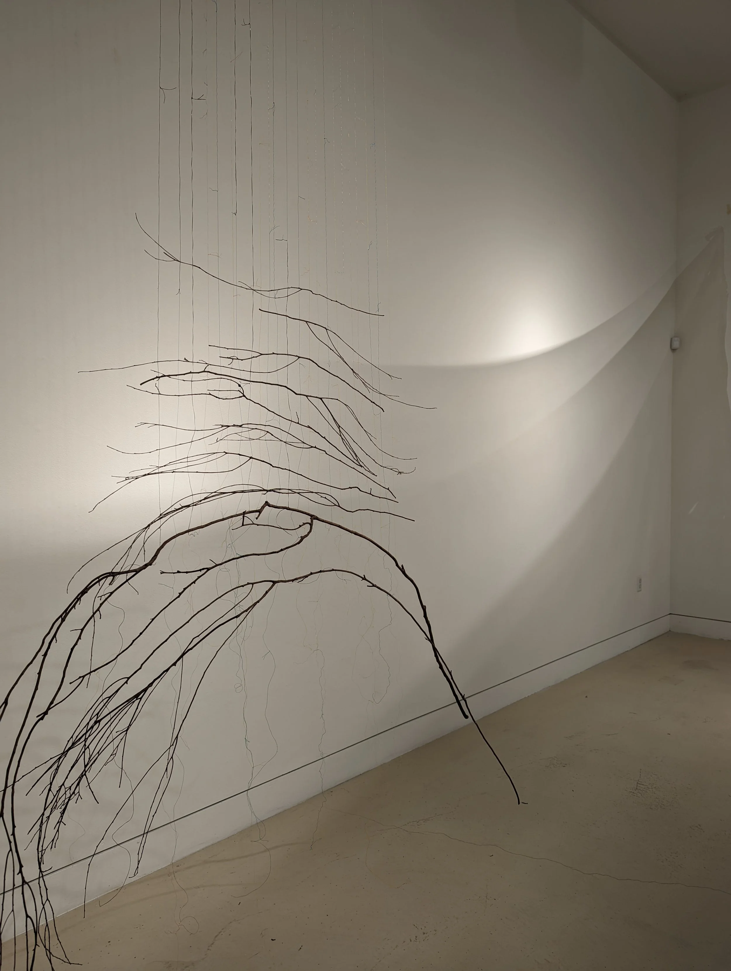 Studio System 3 — Torrance Art Museum