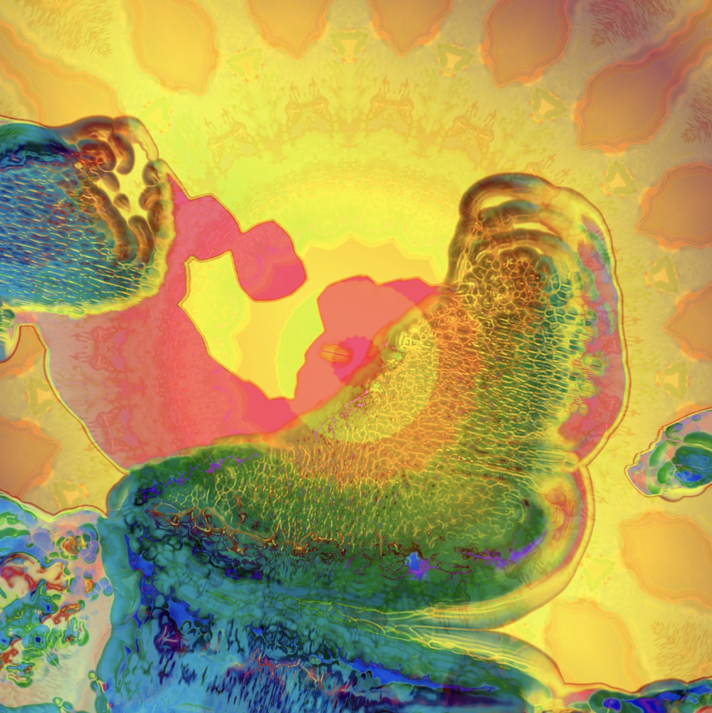 UPCOMING EXHIBITIONS — Torrance Art Museum