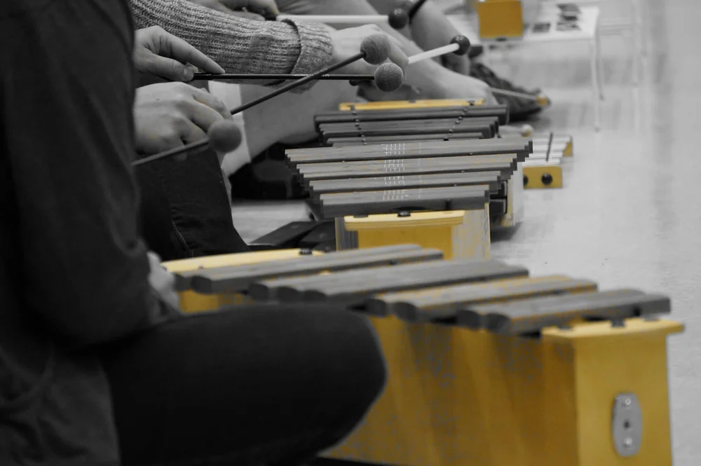 Texas Gulf Coast Orff Association