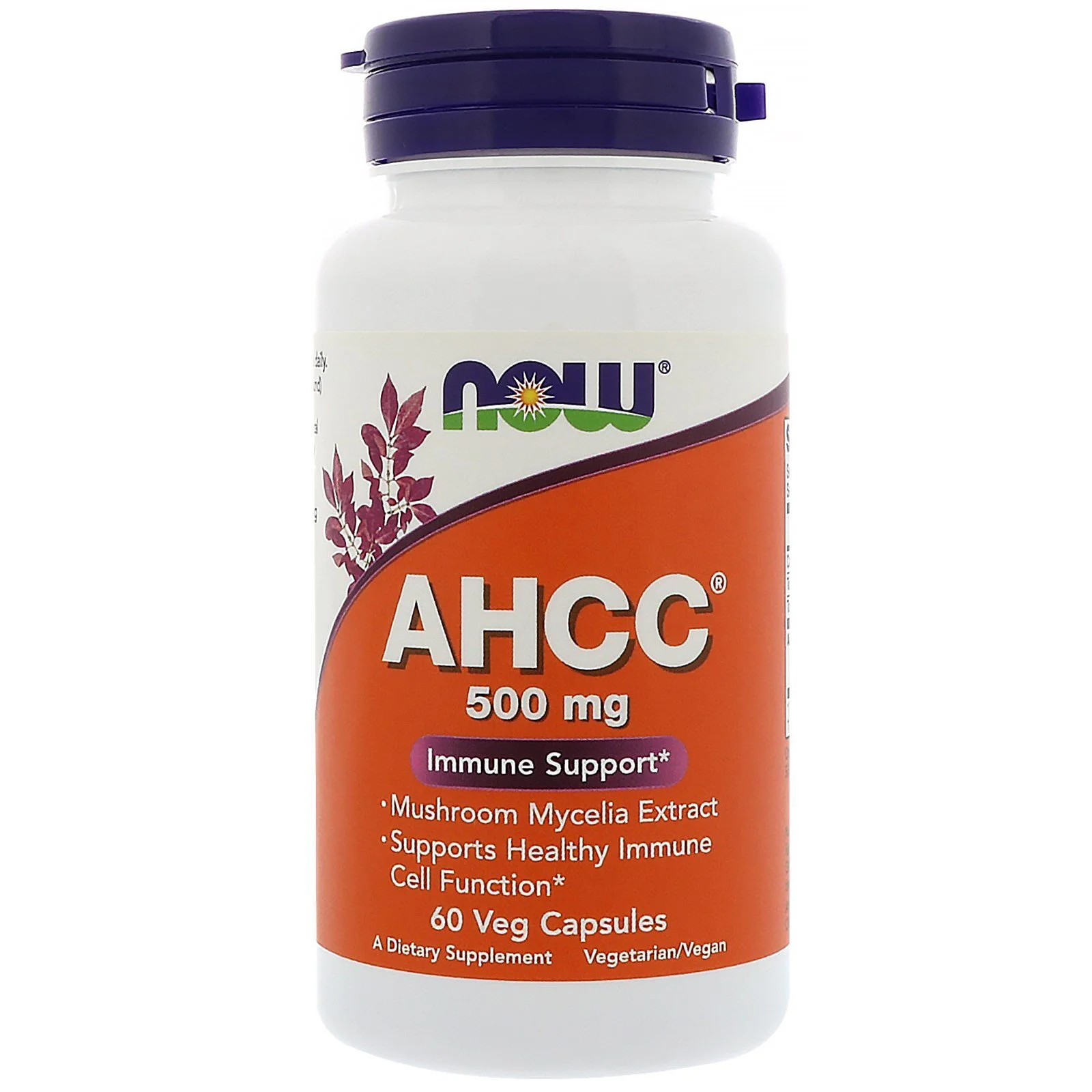 AHCC: An Amazing Immune Booster — Pass Health Foods