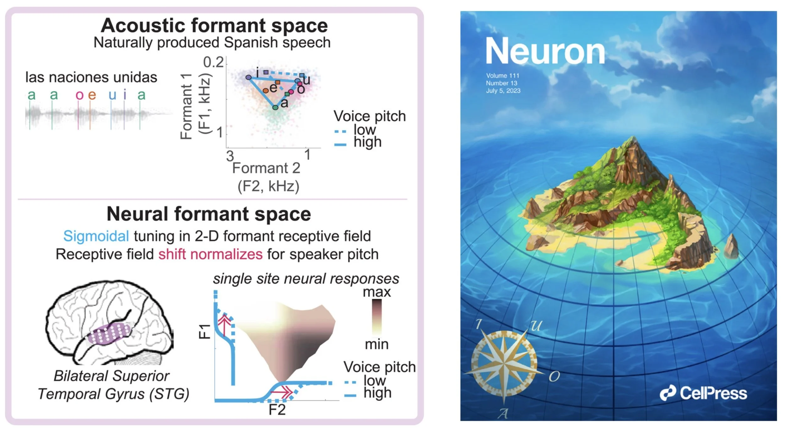 Speech Lab Discoveries — Chang Lab