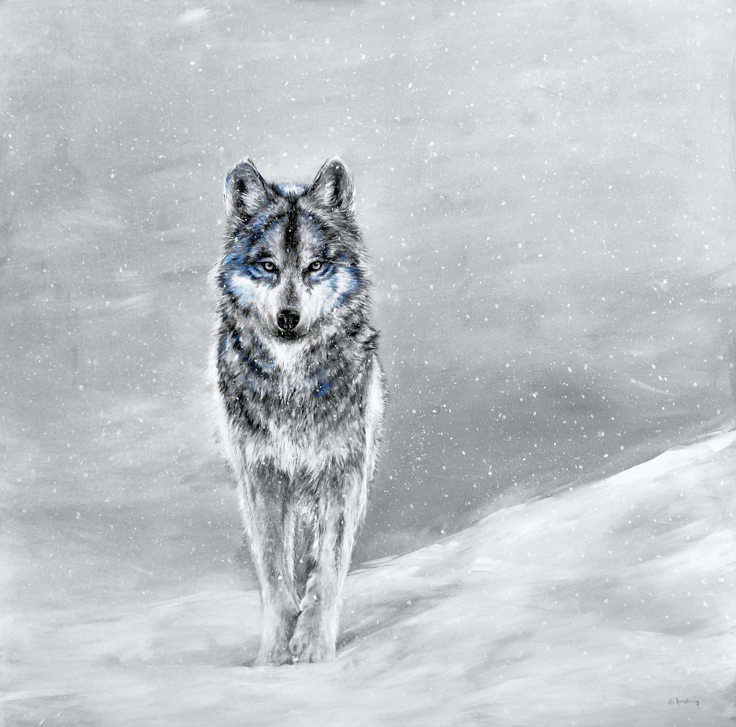 Wolf Pictures To Print Out