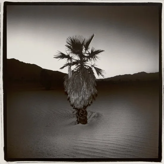 Richard Moore Art