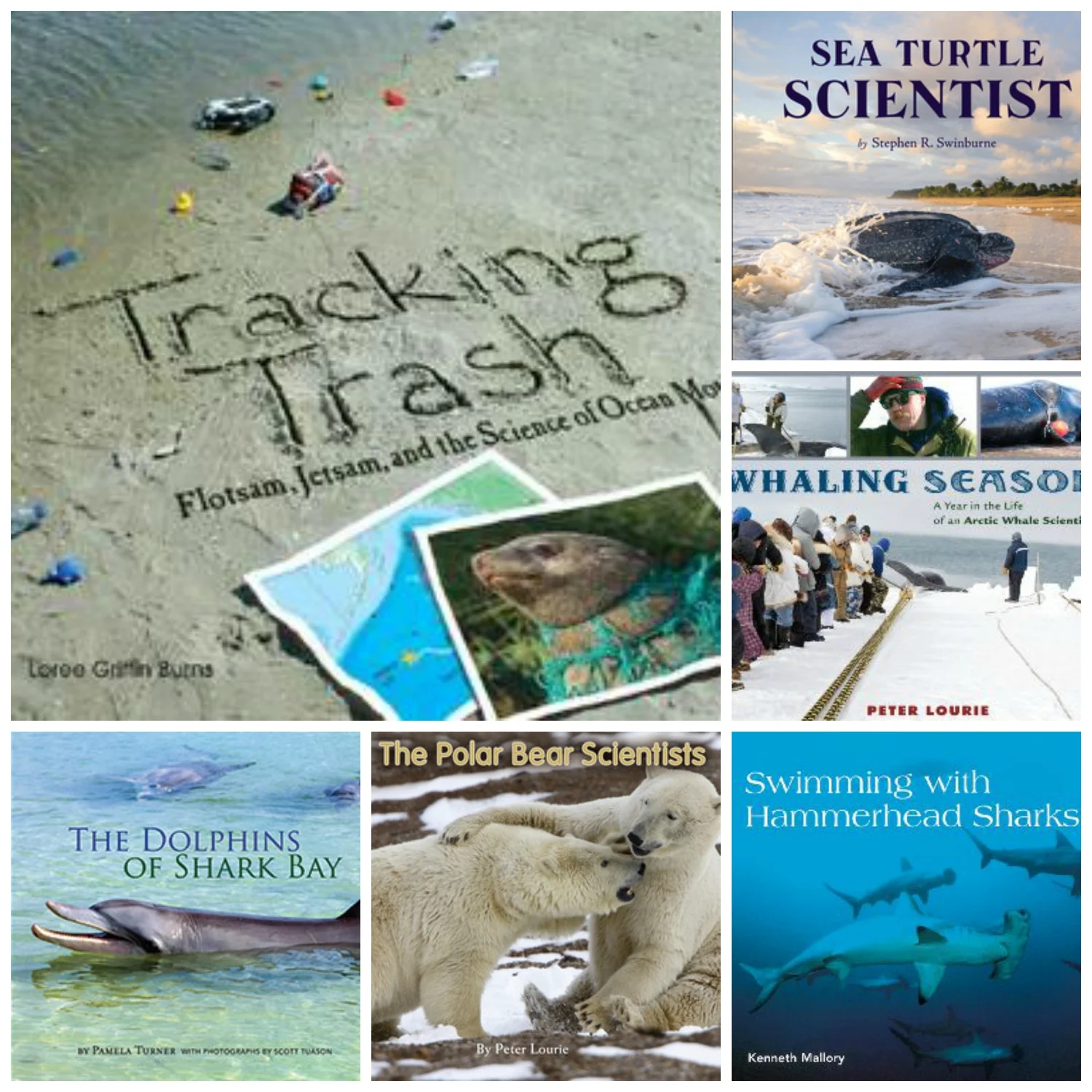 Building a Nonfiction Classroom Library Part V - Marine Life — Kid Lit ...
