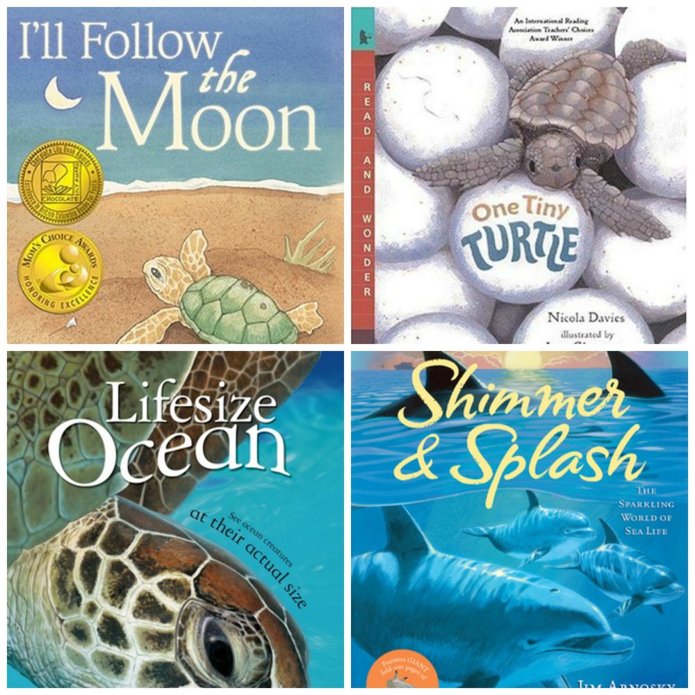 Building a Nonfiction Classroom Library Part V - Marine Life — Kid Lit ...