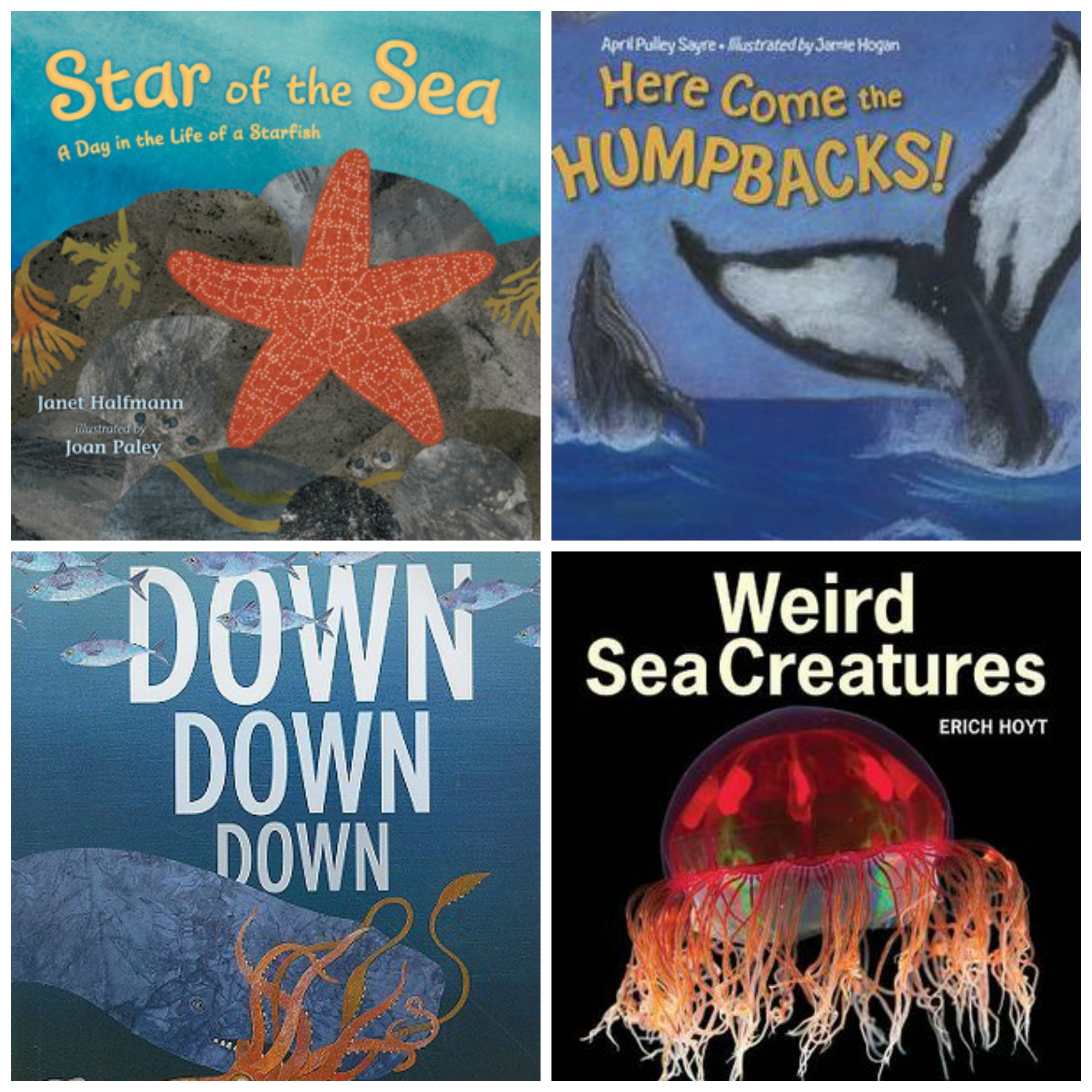 Building a Nonfiction Classroom Library Part V - Marine Life — Kid Lit ...