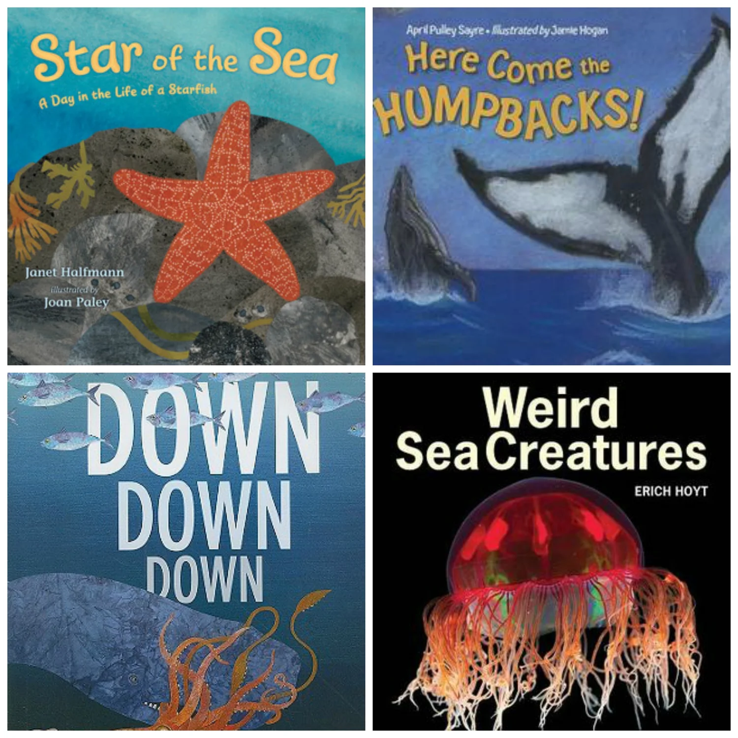 Building a Nonfiction Classroom Library Part V - Marine Life — Kid Lit ...