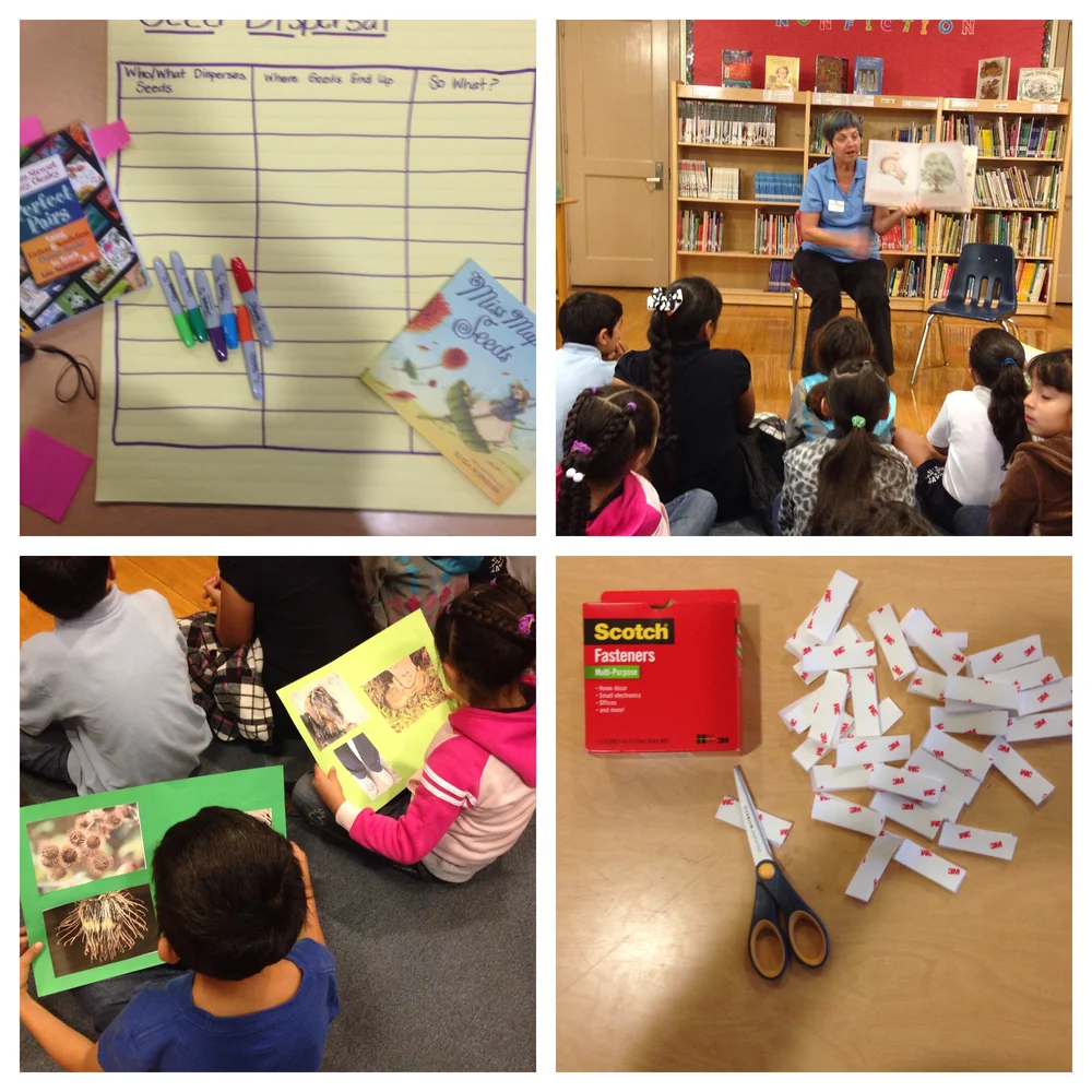 Perfect Pairs in Action — Kid Lit Frenzy