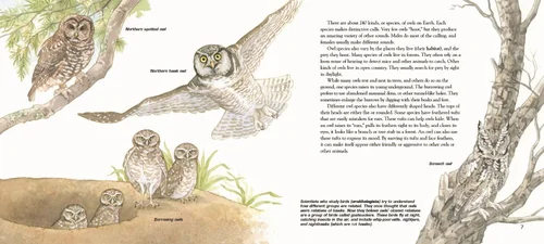 Nonfiction Picture Book Wednesday: Check These Books Out — Kid Lit Frenzy