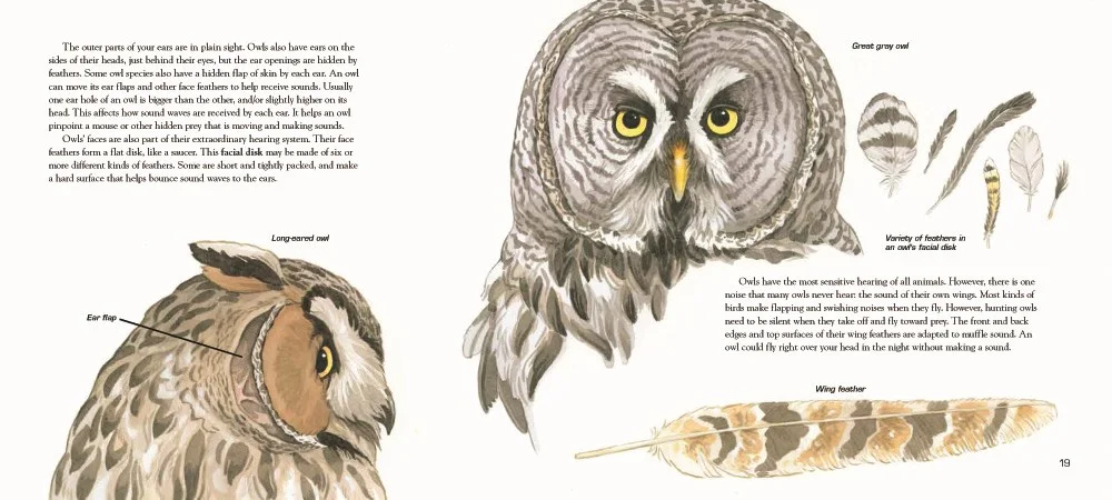 Nonfiction Picture Book Wednesday: Check These Books Out — Kid Lit Frenzy