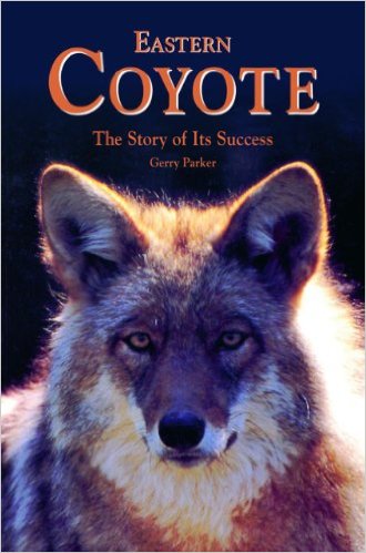 Nonfiction Picture Book Wednesday: Coyote Moon Blog Tour — Kid Lit Frenzy