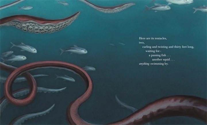 Nonfiction Picture Book Challenge: Giant Squid — Kid Lit Frenzy