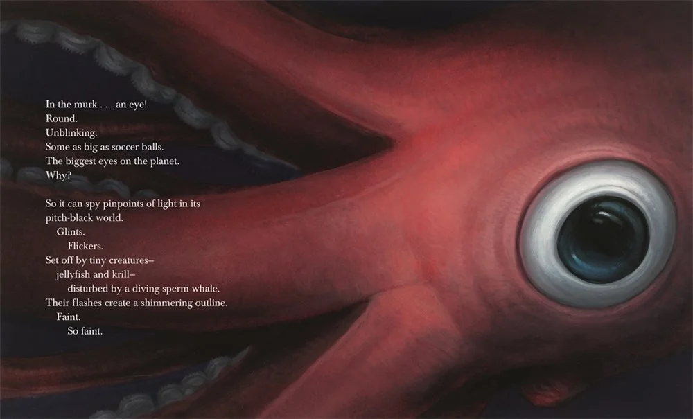 Nonfiction Picture Book Challenge: Giant Squid — Kid Lit Frenzy