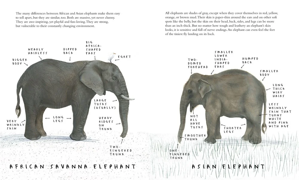 Nonfiction Picture Book Challenge: Elephants and Wolves — Kid Lit Frenzy