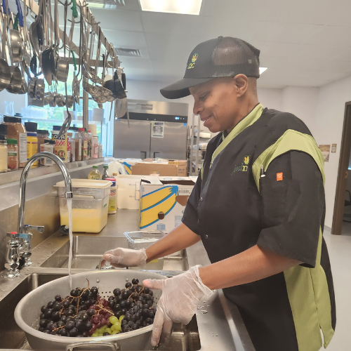 Workforce Development Education Feednc