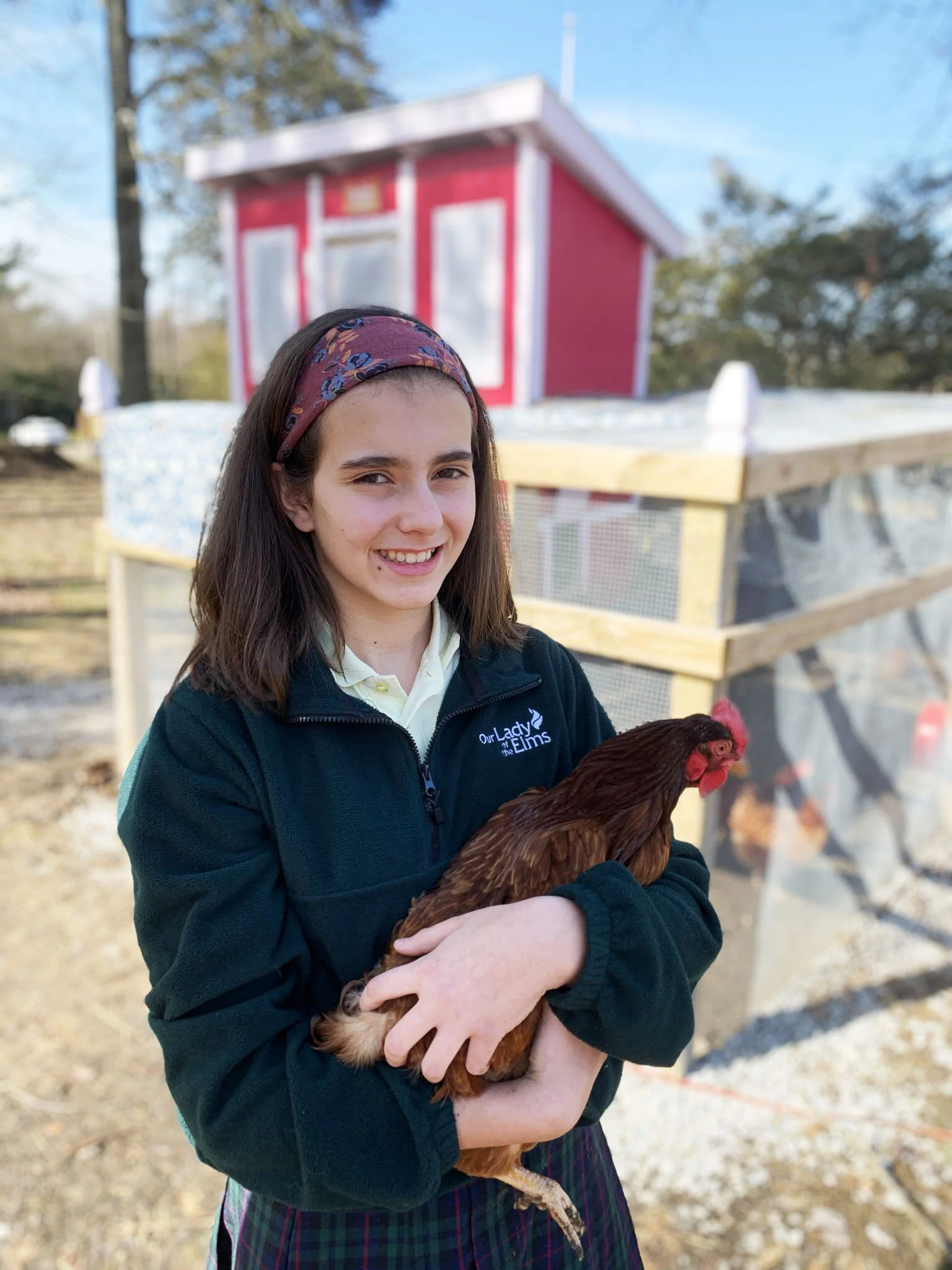 Visit the Elms — Our Lady of the Elms