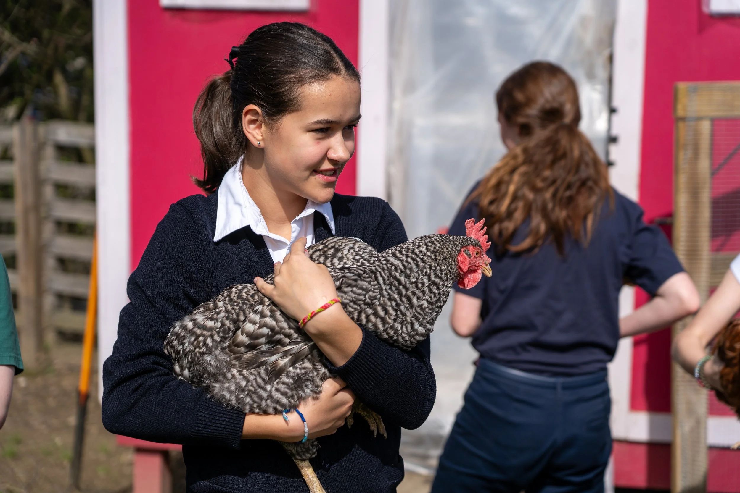 Apply — Our Lady of the Elms School