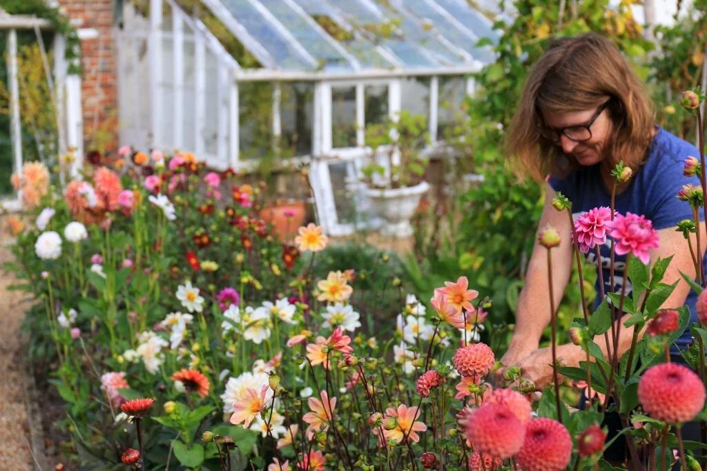 Flowers in Rye Flowers in Rye, natural garden wedding flowers by ...