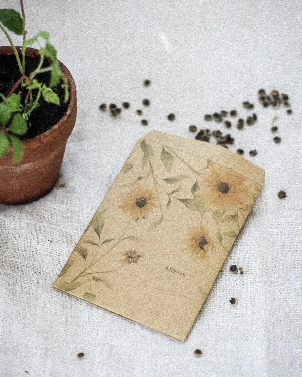 Seed Packet Design Template