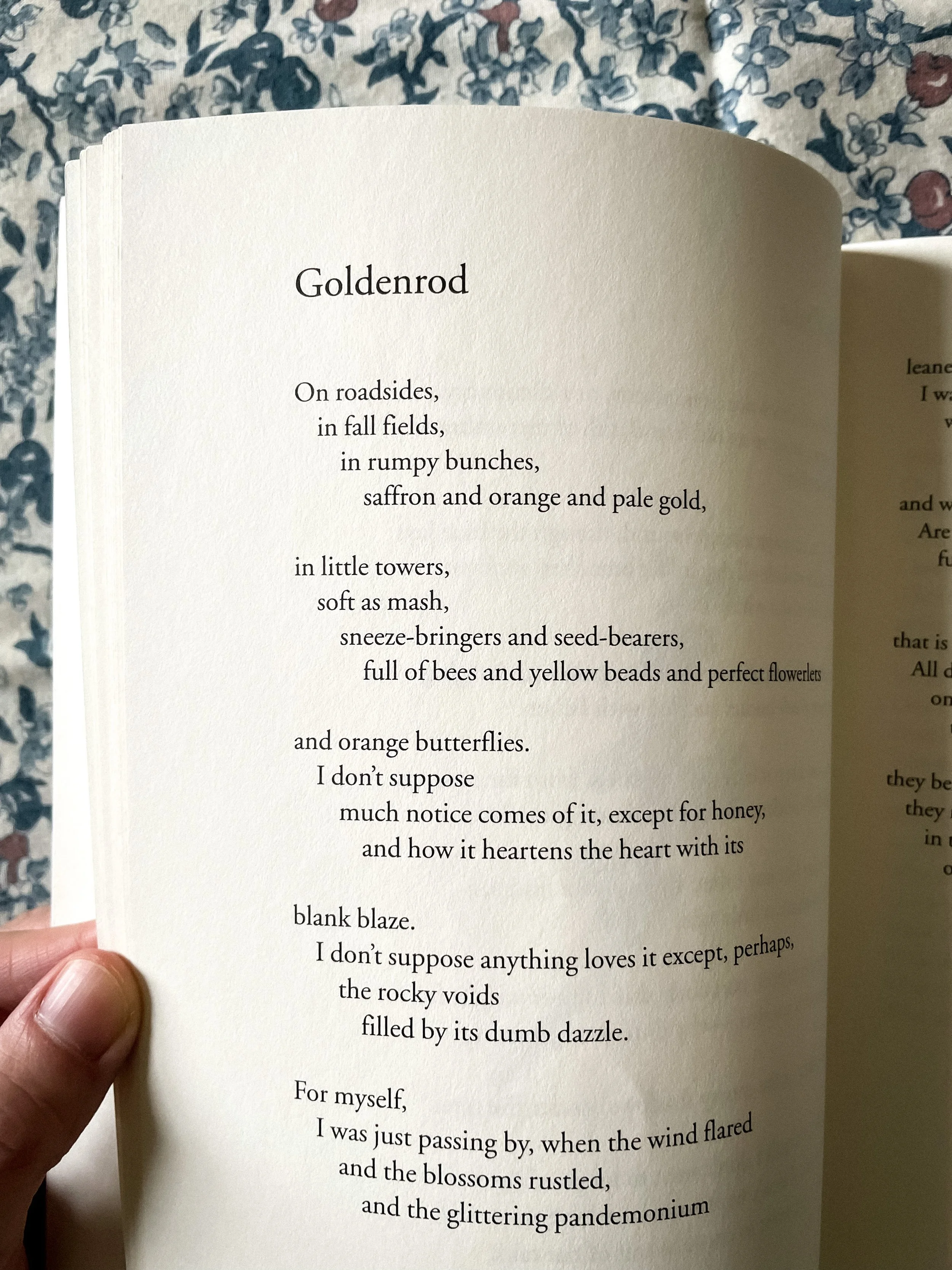 Books for the Botanical Library — Jenni Haikonen Studio