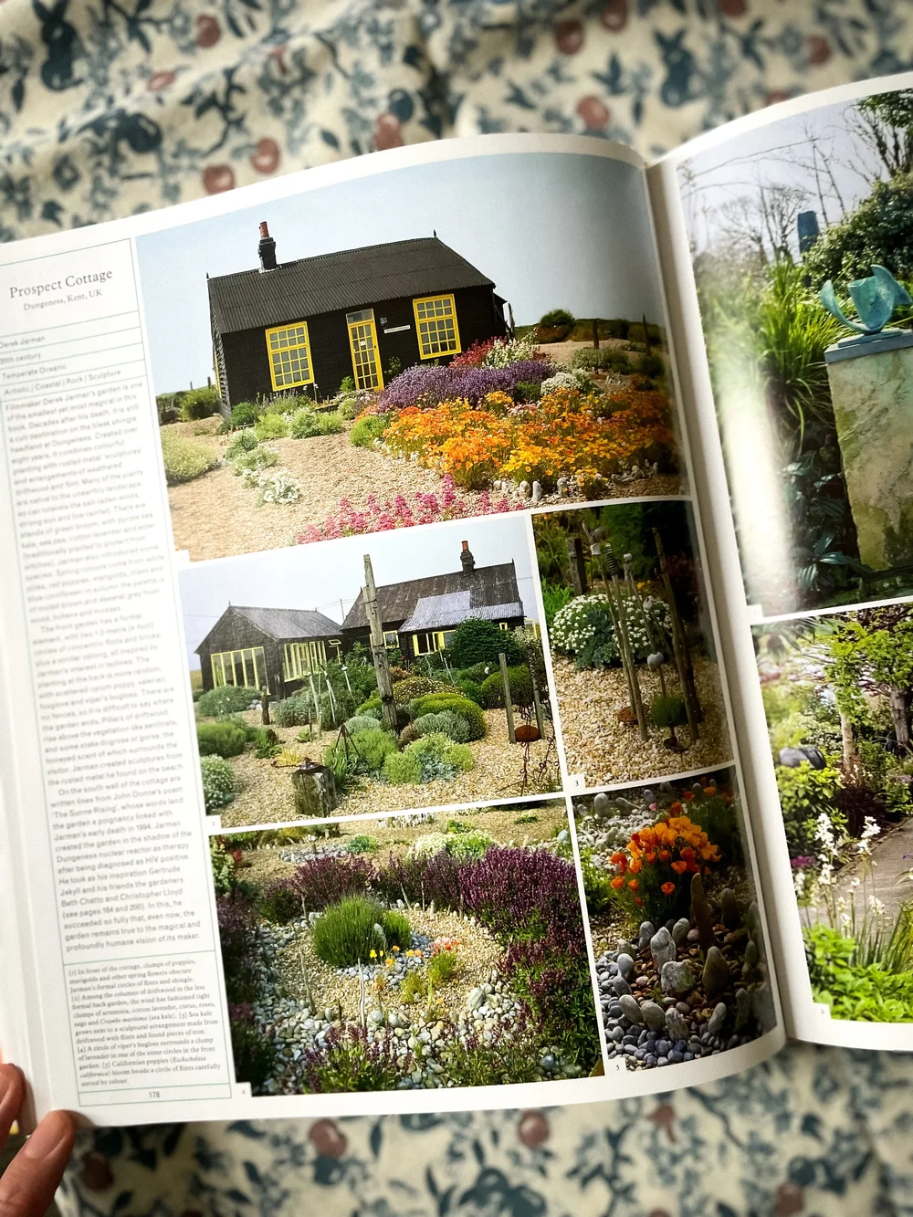 Books for the Botanical Library — Jenni Haikonen Studio