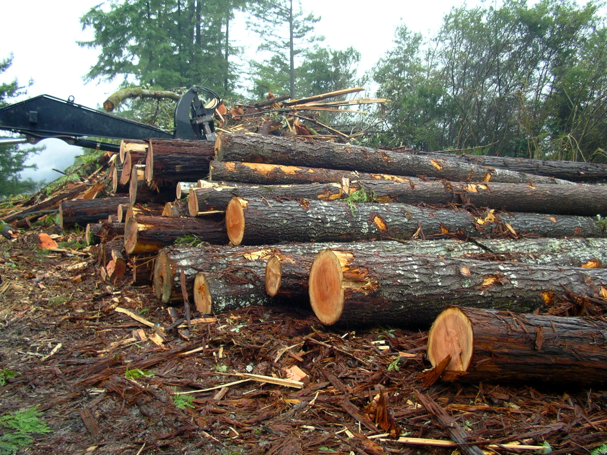 Resources — The Healy Company