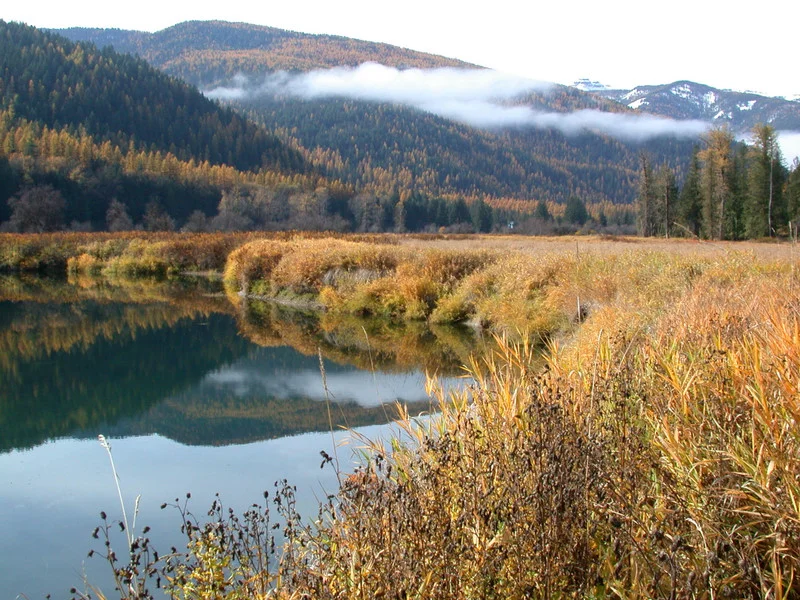 Conservation Easements — Idaho Coalition of Land Trusts