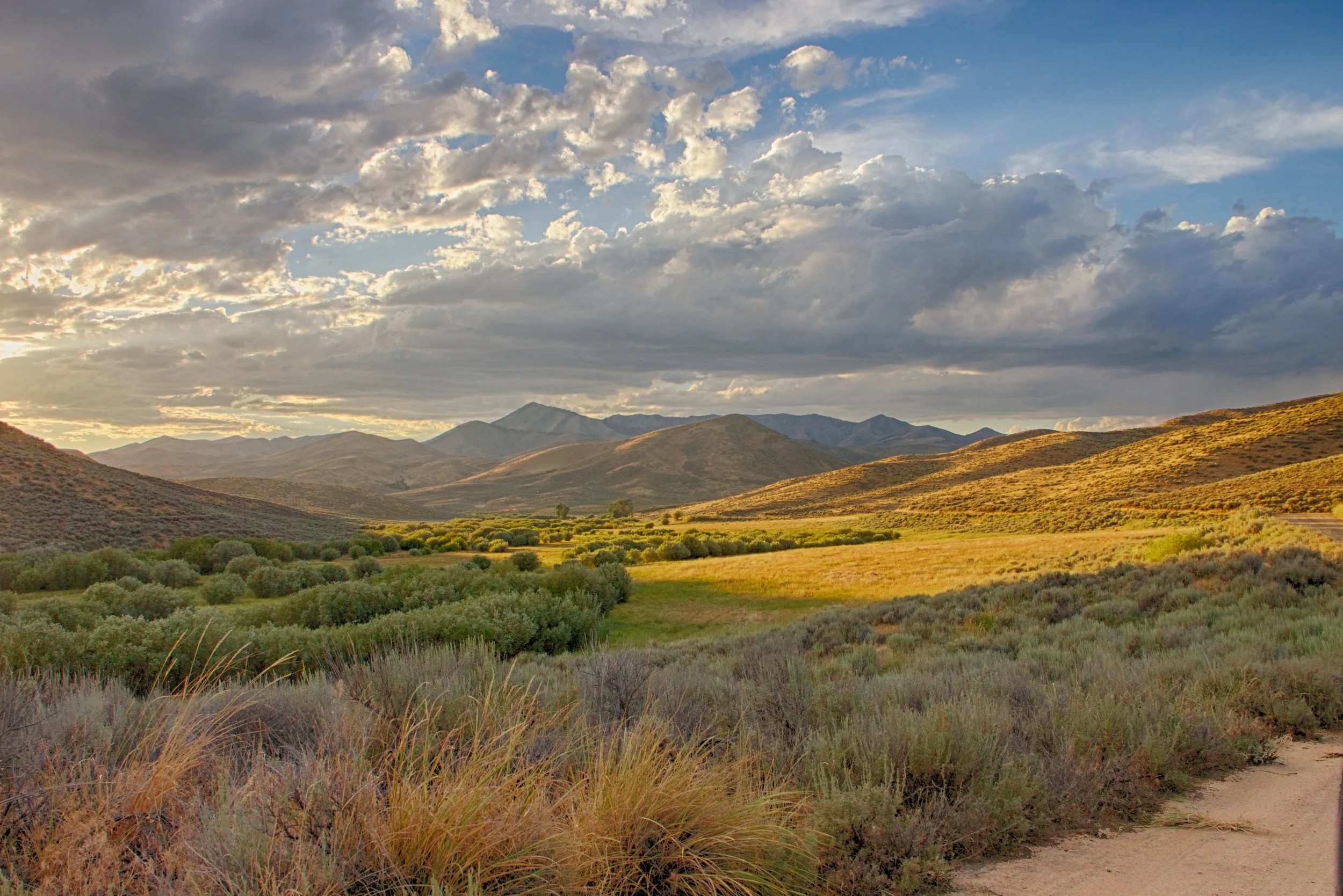 Idaho Coalition of Land Trusts