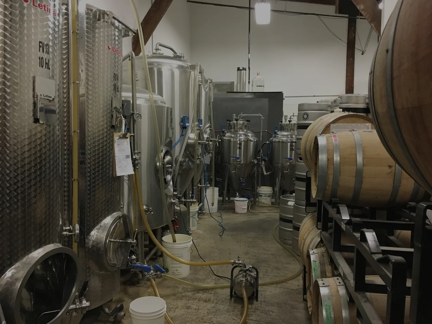 Werk Force Brewing Co