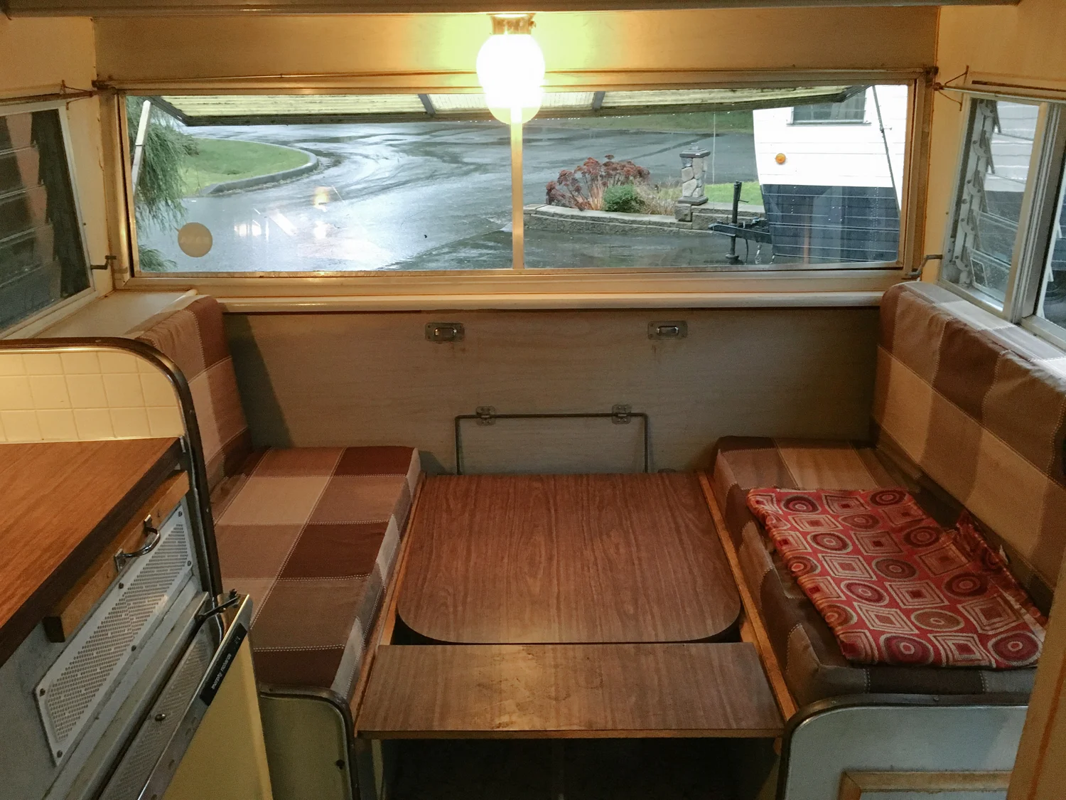 Meet Billy — Our Wild Abandon