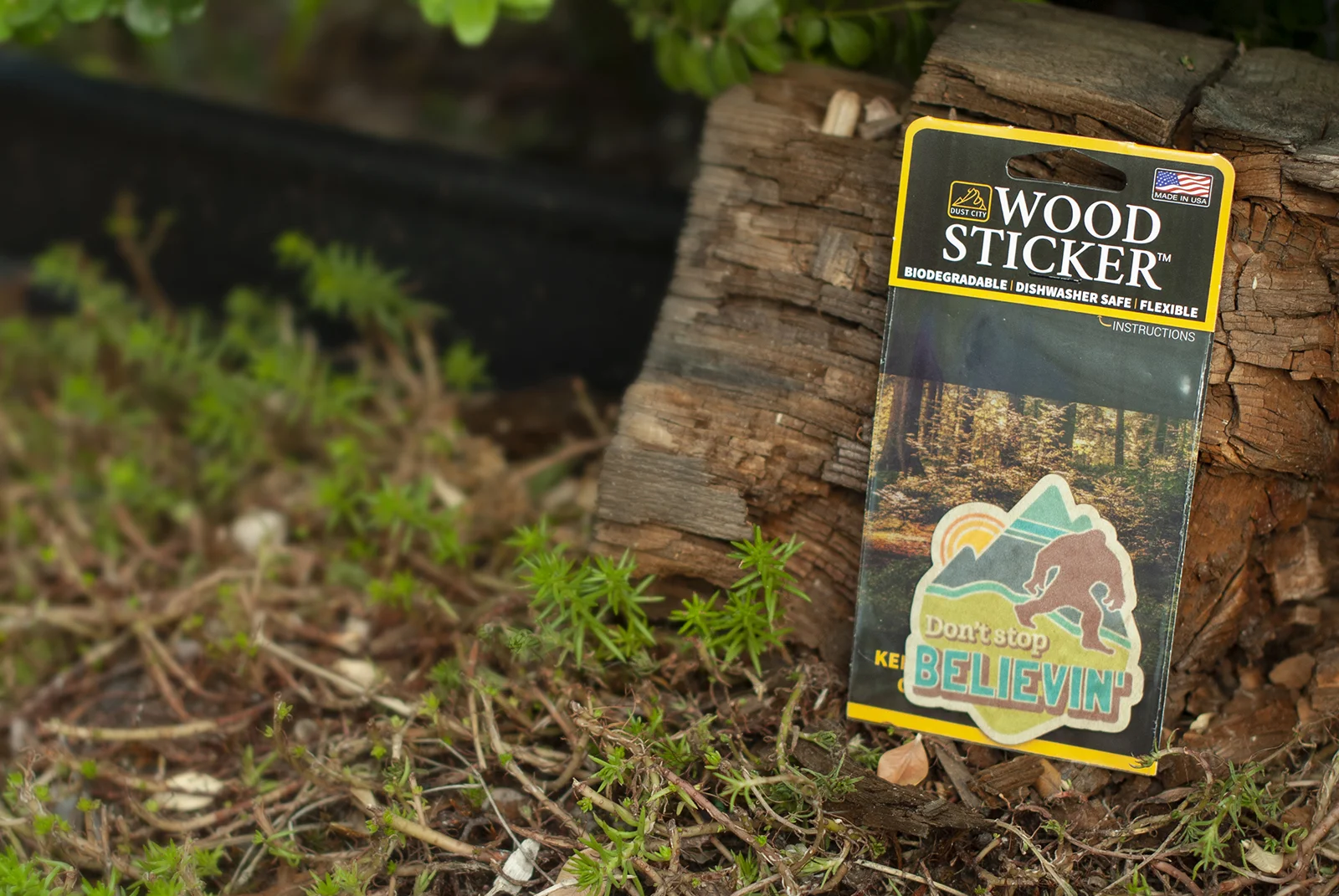 Meet Dust City Wood Stickers — Amanda Weedmark, Illustration & Graphic ...