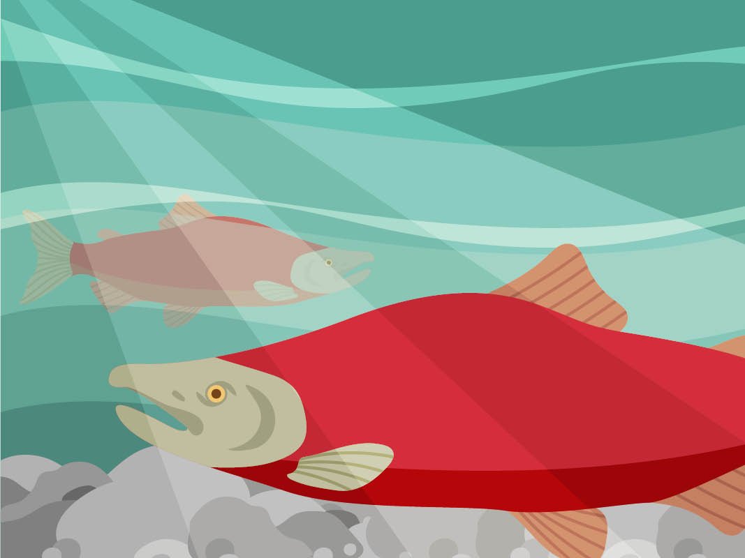 Landscape Illustration — Amanda Weedmark, Illustration & Graphic Design