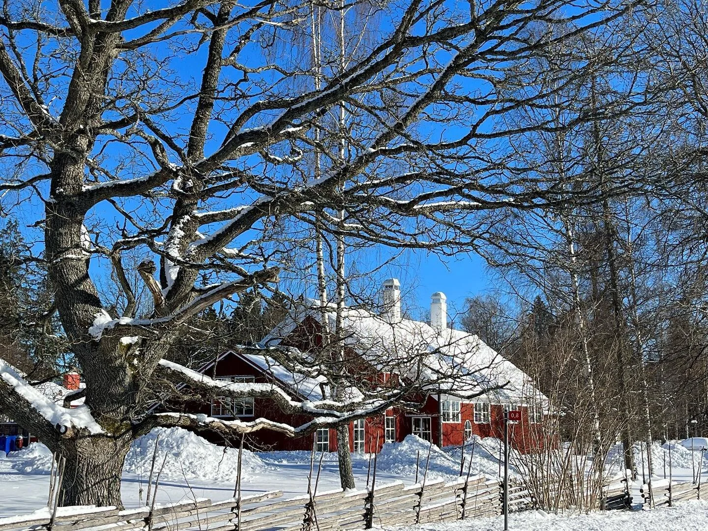 Gå genom rutan — Agneta Edwards