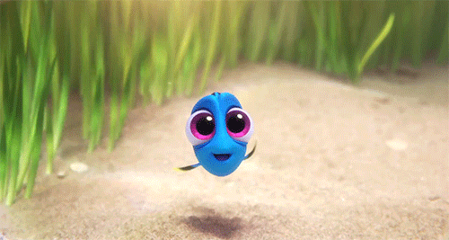 Finding Nemo Squishy Gif