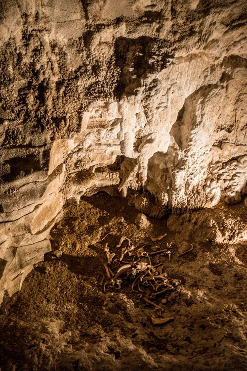Waitomo Caves: The Fault & Near Stars