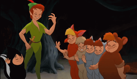 Return to Never Land — Robin Budd